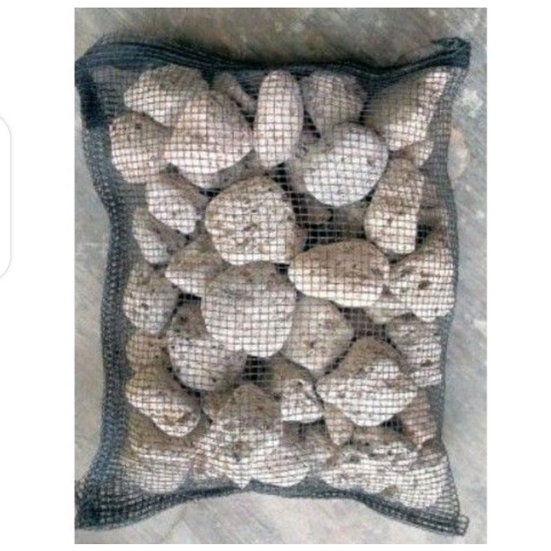 Jual Batu apung pumice stone media filter kolam aquarium berat 1 kg ...
