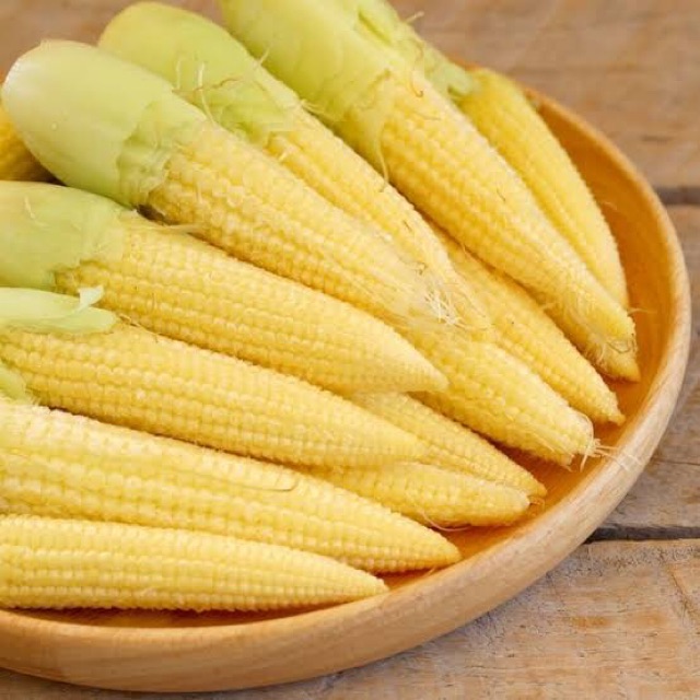 Jual Jagung Muda/Putren (Baby Corn) 250 gram - sayur curah | Shopee ...