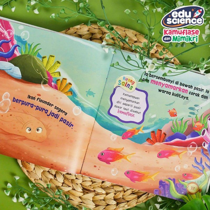 Jual edu science mimikri buku anak balita | Shopee Indonesia
