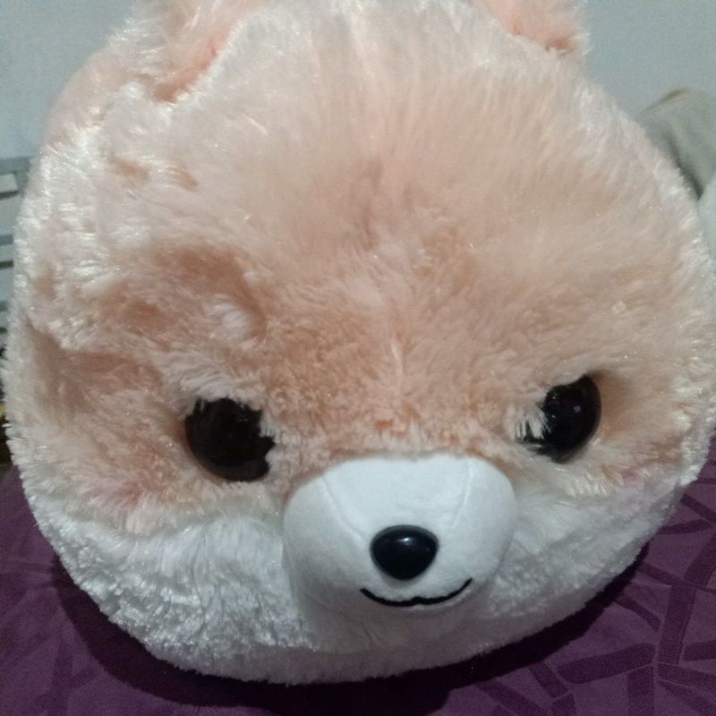 Jual Boneka Fuwa Mofu Pometan amuse (Big) | Shopee Indonesia