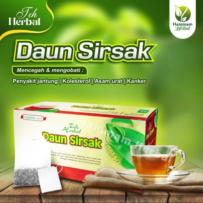 Jual Teh Celup Herbal Daun Sirsak Anti Kanker Hipertensi | Shopee Indonesia