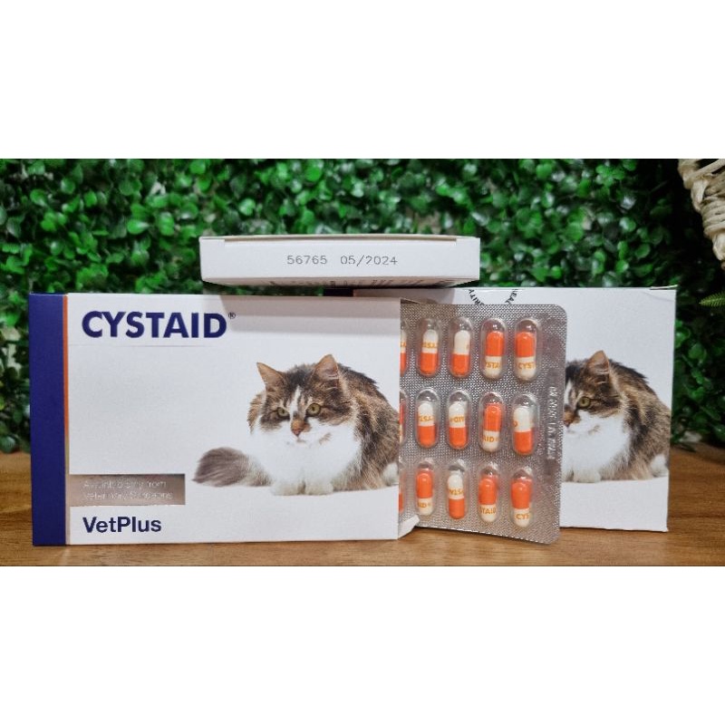Jual CYSTAID PLUS / CYSTAID CAT(HARGA PER 1 CAPSUL) | Shopee Indonesia