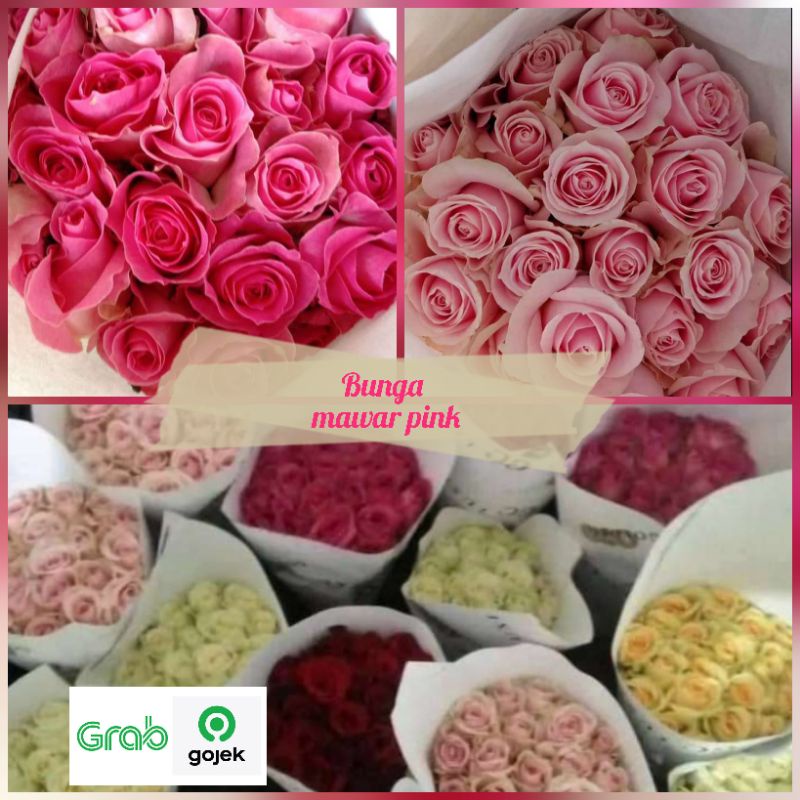 Jual bunga mawar pink 20 batang pink rose bunga potong segar | Shopee ...