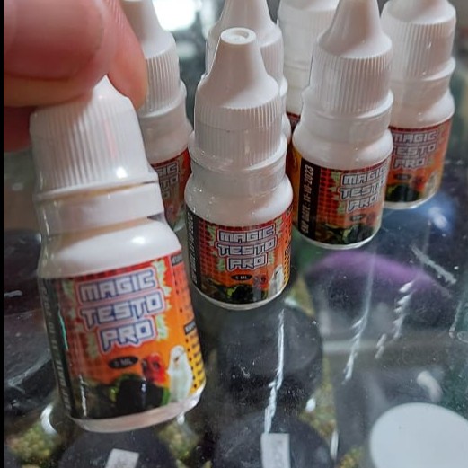 Jual burung-vitamin-obat- magic testo pro (mtp) penggacor burung ...