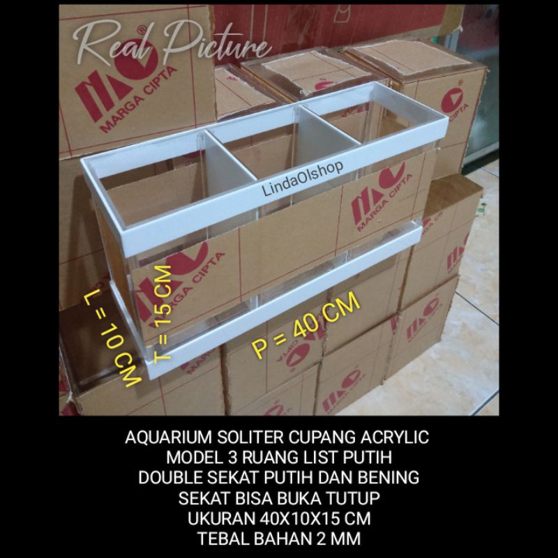 Jual AQUARIUM SOLITER CUPANG ACRYLIC 3 RUANG PLUS LIST PUTIH/HITAM ...