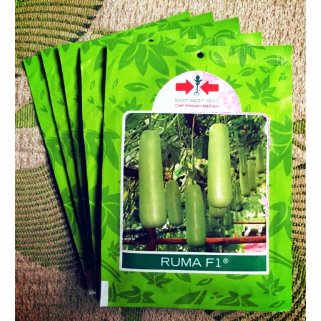 Jual Benih Bibit Labu Air RUMA F1 Hibrida cap Panah Merah, kemasan asli ...