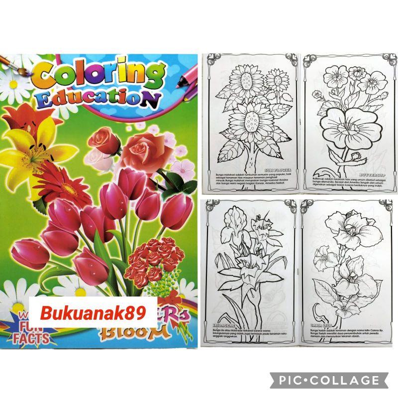 Jual Buku Mewarnai Bunga Flower | Shopee Indonesia