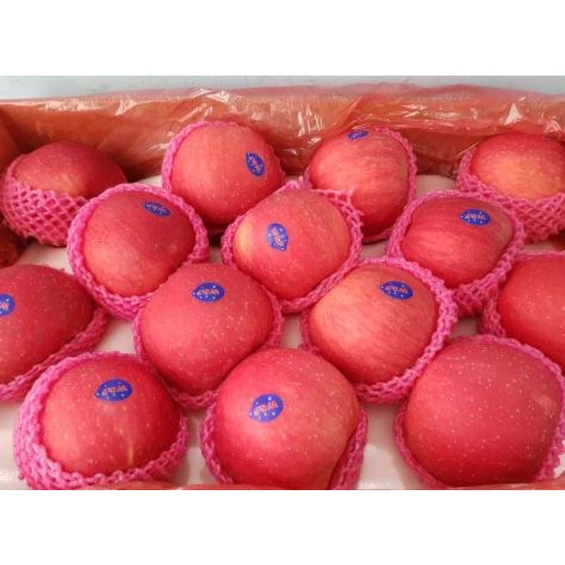 Jual Apel Fuji Rosy blush | Shopee Indonesia
