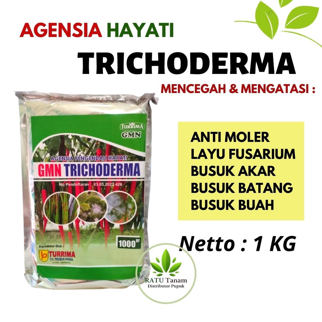 Jual Pupuk Trichoderma Anti Busuk Akar Buah Umbi Kentang, Bisa COD ...
