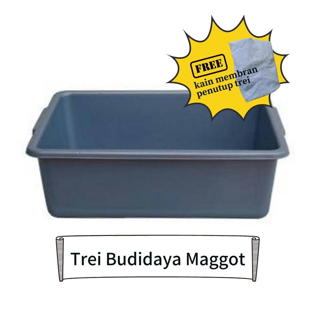 Jual Trei Wadah Budidaya Maggot | Shopee Indonesia