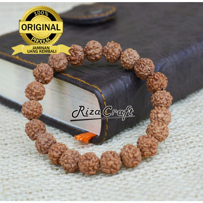 Jual Gelang Natural Biji Buah Jenitri Genitri Rudraksha Kebumen ASLI ...