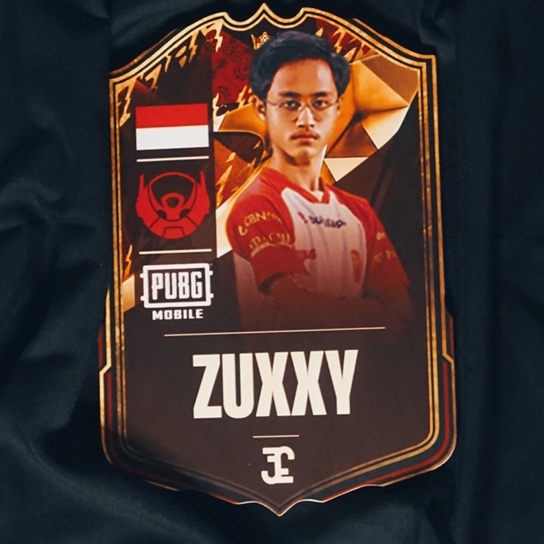 Jual Kartu Pro Player eSport Kecil - 25X15 cm (FUT CARD) | Shopee Indonesia