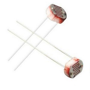 Jual 2 Pcs Photoresistor LDR CDS 5mm Light-Dependent Resistor Sensor ...