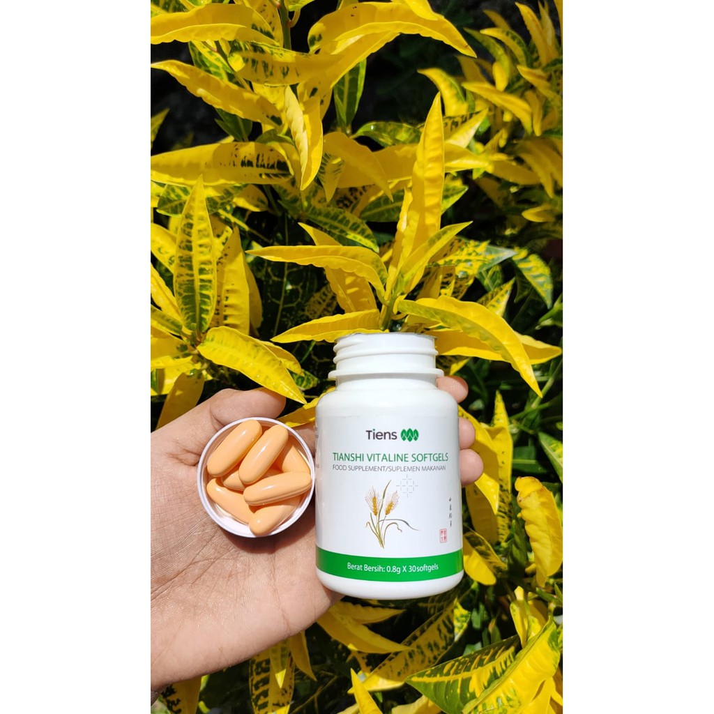 Jual TIENS VITALINE SOFTGELS (1 BOTOL ) | Shopee Indonesia