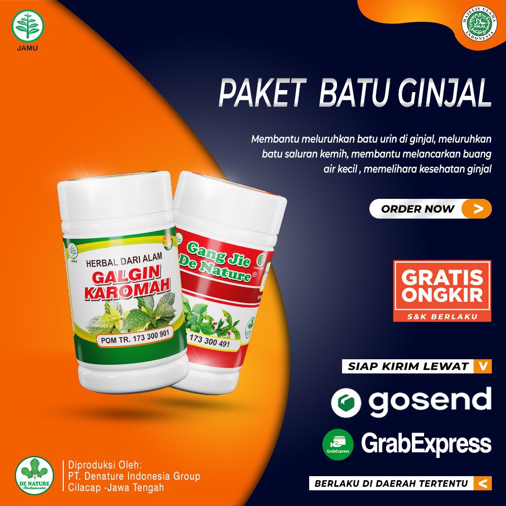 Jual Obat Ginjal - Batu Ginjal - Gagal Ginjal - Radang Ginjal - Infeksi Ginjal Herbal De Nature ...