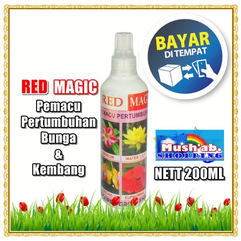 Jual Pupuk Cair Pemacu Pertumbuhan Bunga Dan Kembang RED MAGIC Spray ...