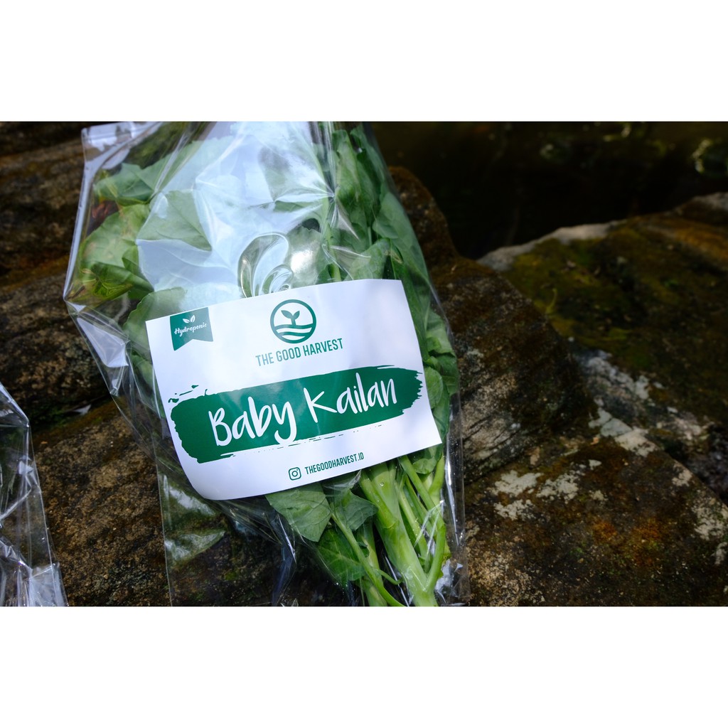 Jual Sayur Kailan Hidroponik - Kailan Vegetable Hydroponics 250G ...