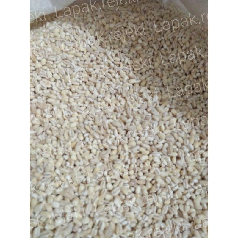 Jual Biji Jali Import / Biji Barley / Biji Jali Jali Pearl 100gram ...