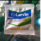 Jual LarVin 15 gram | Shopee Indonesia