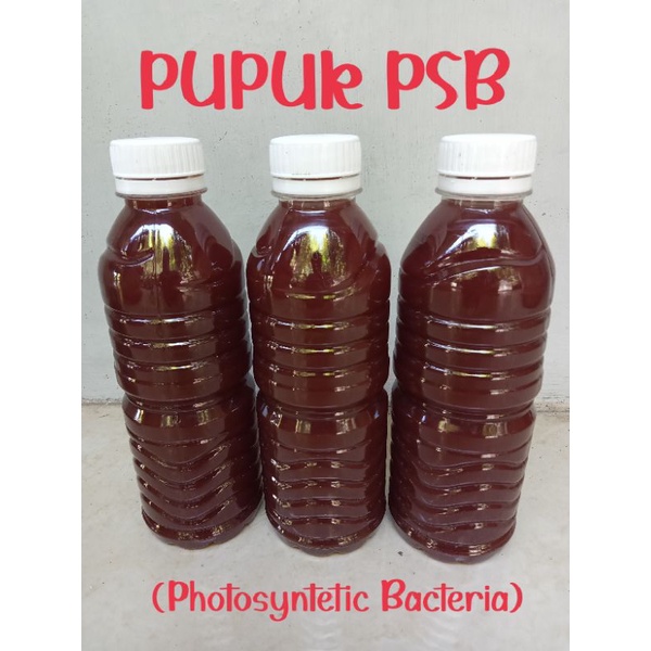 Jual PUPUK PSB PUPUK ORGANIC CAIR (Photosyntetic Bacteria) | Shopee ...