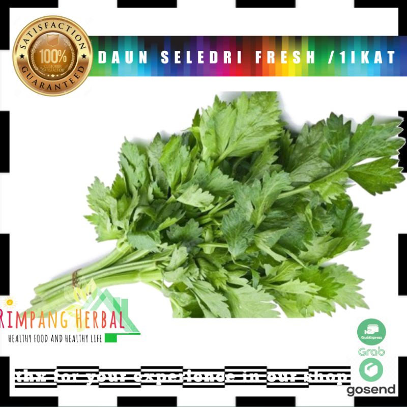 Jual seledri | daun seledri | daun sop | bumbu dapur | sayur segar ...