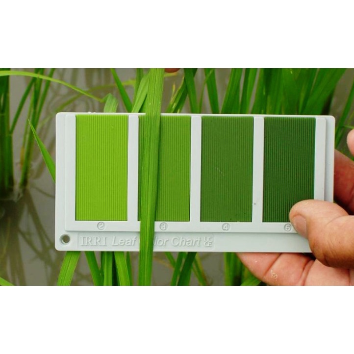 Jual Terlaris Bagan Warna Daun untuk Padi | Shopee Indonesia