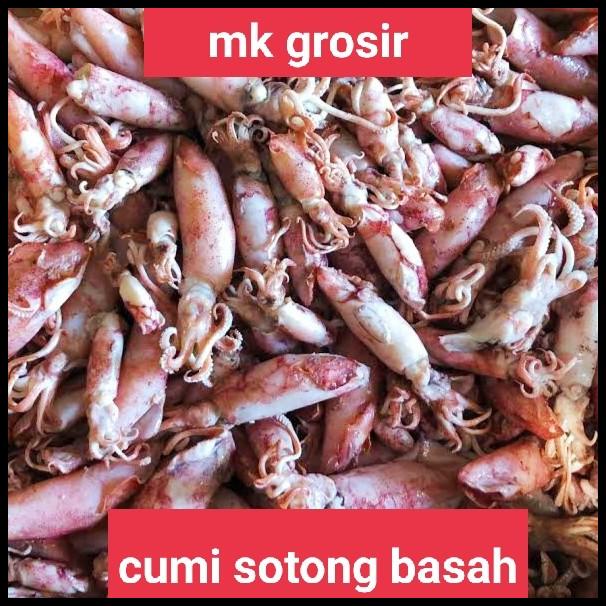 Jual Cumi Asin Basah Jarum /Ikan Asin Cumi Sotong Basah Jarum-500 Gram ...