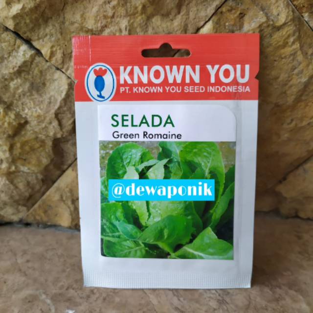 Jual Benih Selada Hijau / Green Romaine Lettuce | Shopee Indonesia