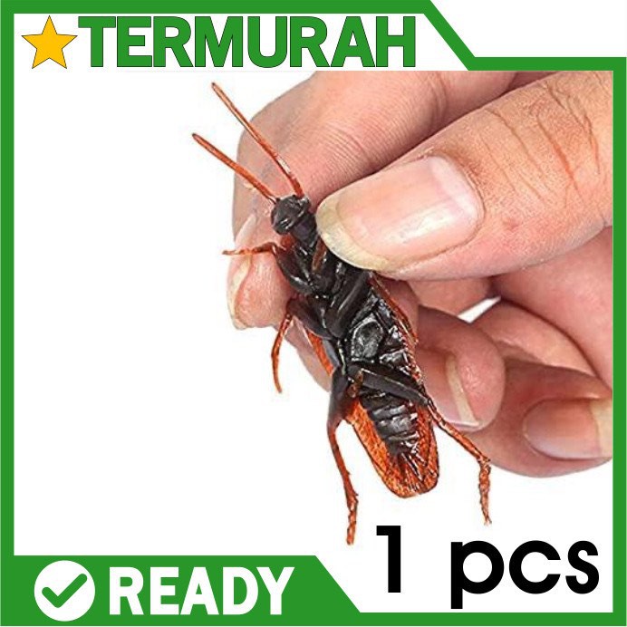 Jual KECOA MAINAN SERANGGA ANAK PRANK Binatang KECOAK TOYS MURAH KECOA ...