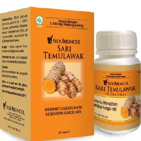 Jual OBAT Temulawak JAMU UNTUK Memperbaiki Fungsi Hati LIVER KADAR ...