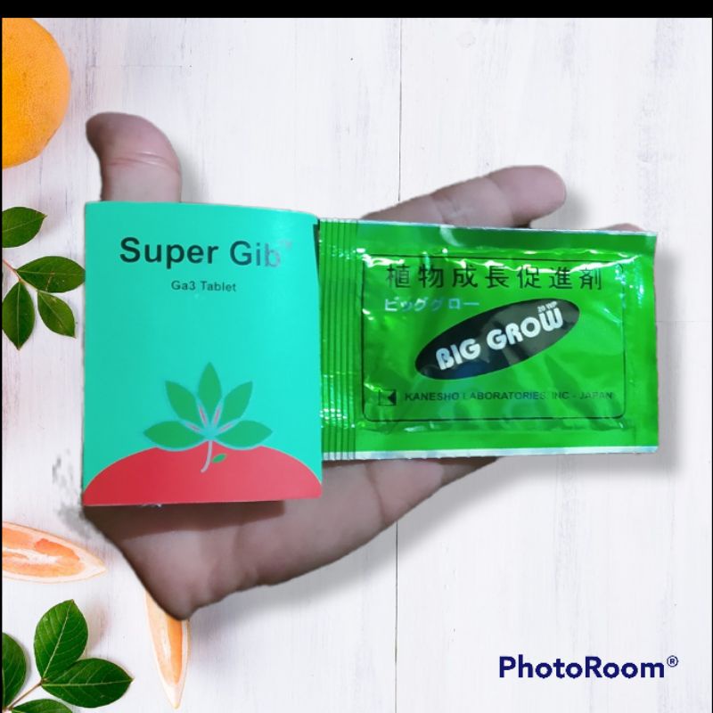 Jual Paket Biggrow Big grow plus Super Gib Tm new ga3 tablet | Shopee ...