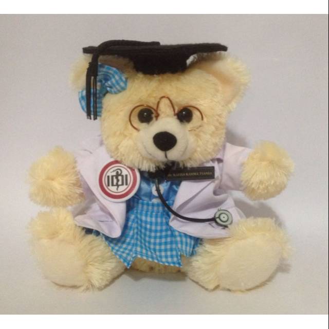 Jual Boneka Teddy Bear Dokter Gigi dan Profesi Perawat | Shopee Indonesia