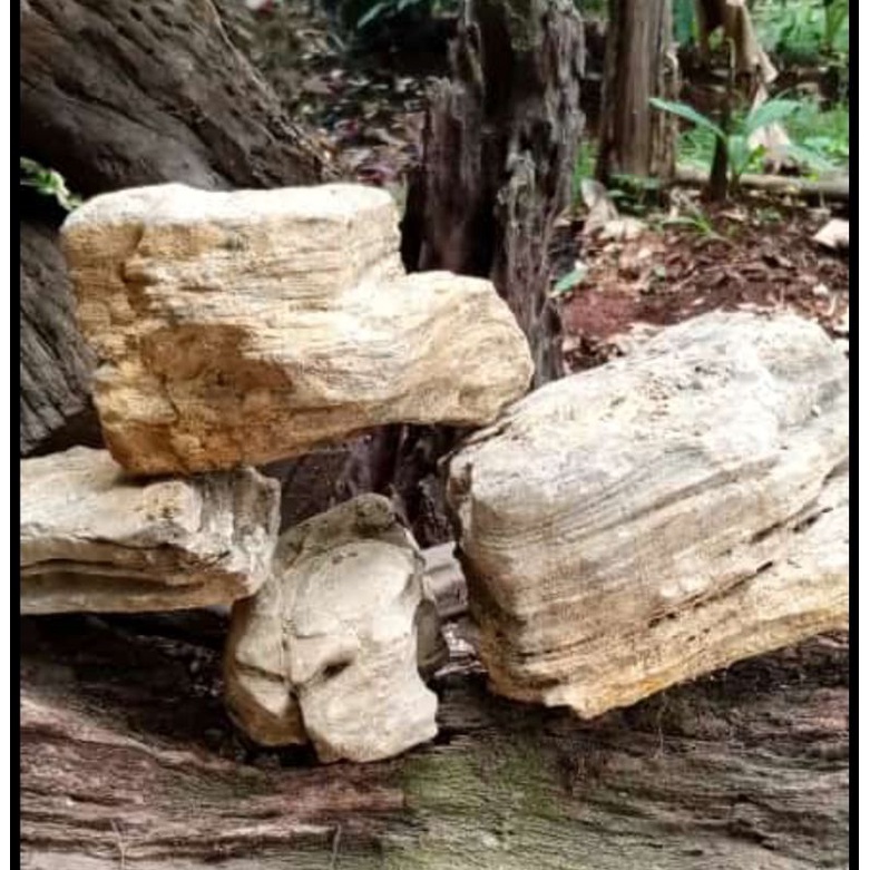 Jual batu bobing/ batu Oscar aquascape aquarium /1kg | Shopee Indonesia