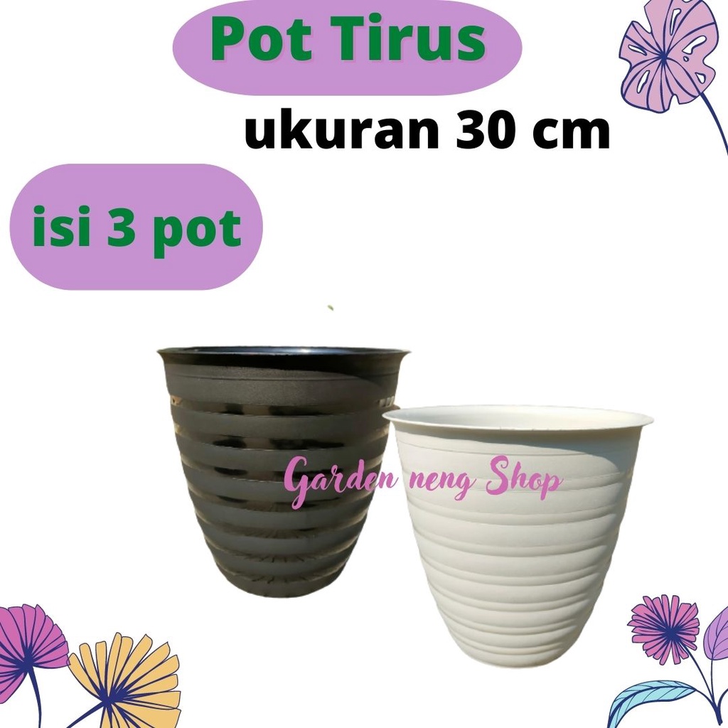 Jual Pot JUMBO PIRUS ukuran 30 cm isi 3 pcs / 2 pcs Pot Tawon Tirus Pot ...