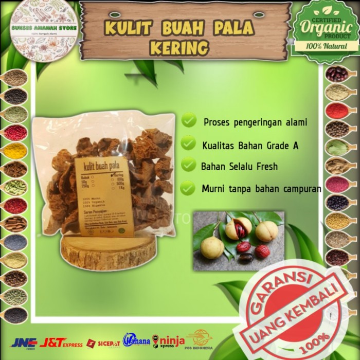 Jual KULIT BUAH PALA POLO KERING 1 KG - Myristica Fragran | Shopee ...