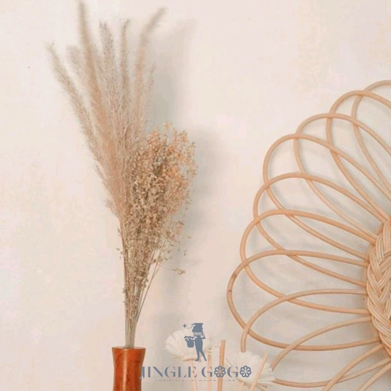 Jual Bunga Kering Aesthetic Pampas Reed Mini Dried Flower Rustic
