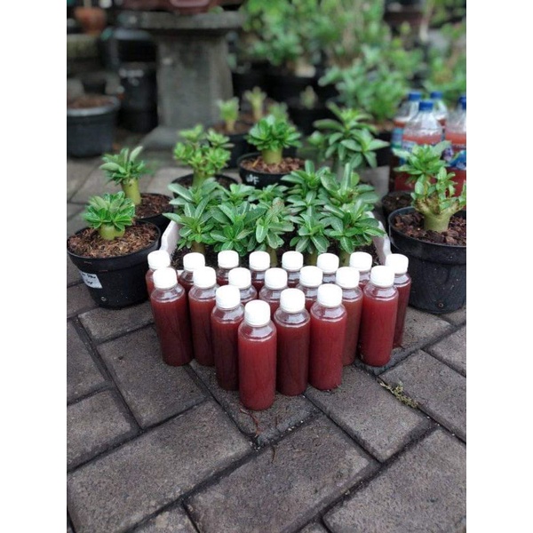 Jual Pupuk Organik,SRIKAYA PSB//pupuk photo sintesis bacteri,pupuk daun ...