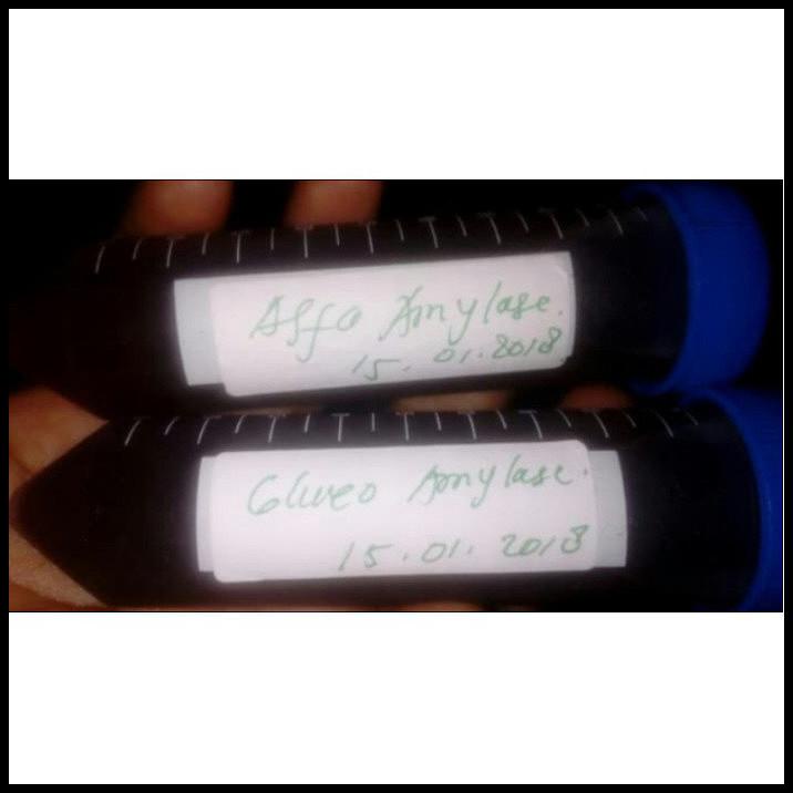 Jual Enzim Gluko Amilase Cair 500 Gram / Gluco Amylase / Gluko Amylase ...