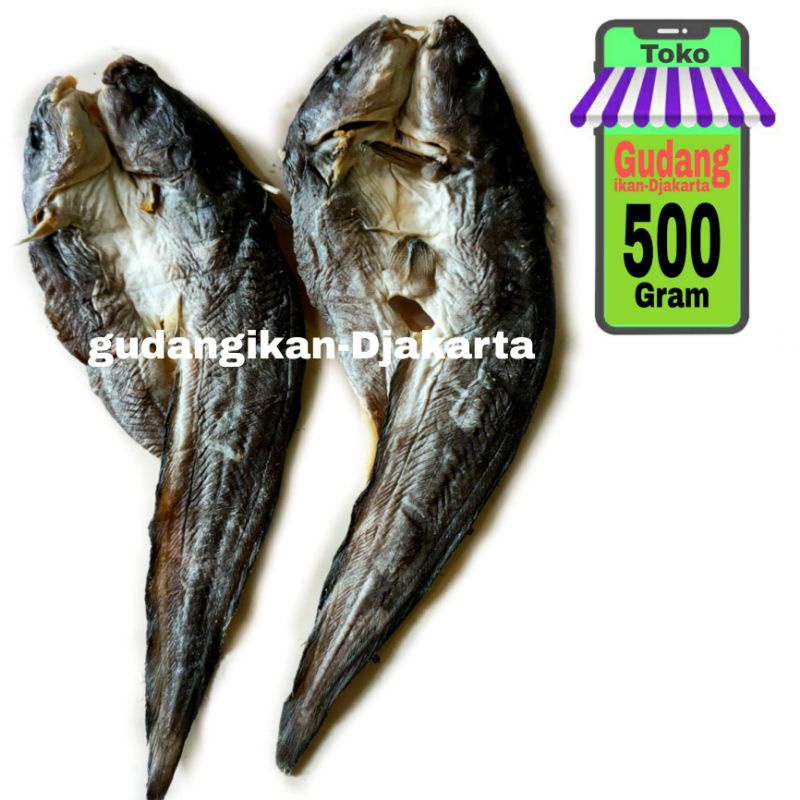 Jual ikan asin sembilang belah-500g | Shopee Indonesia