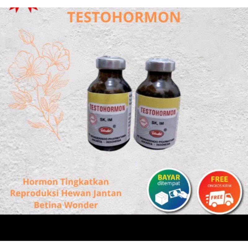 Jual TESTOHORMON-Hormon Pemacu Birahi Jantan hewan ternak (Sapi ...