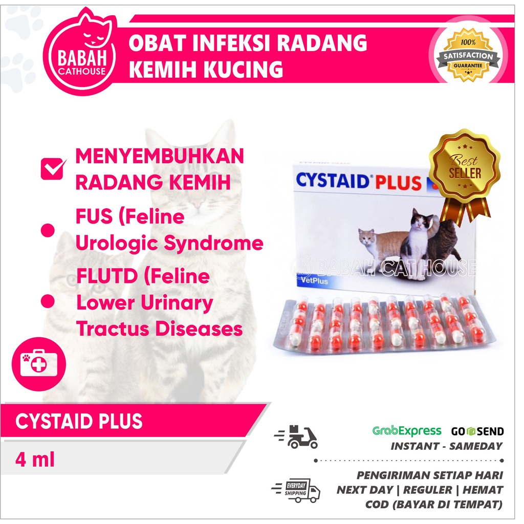 Jual CYSTAID PLUS CAT Urinary Obat Kucing Infeksi Saluran Kemih Kencing ...