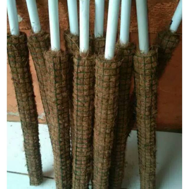 Jual Turus Penyangga Tanaman hias-alat steger turus tanaman hiasrambat ...