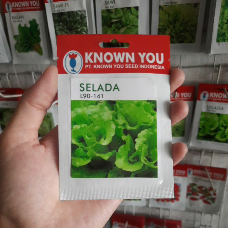 Jual Benih Selada Hijau L90-141 Isi 5gr | Shopee Indonesia