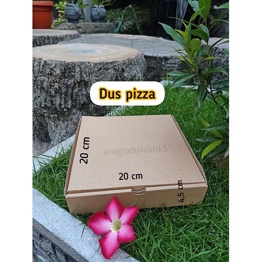 Jual Box pizza uk 20 x 20 / dus coklat polos pizza per pack | Shopee ...