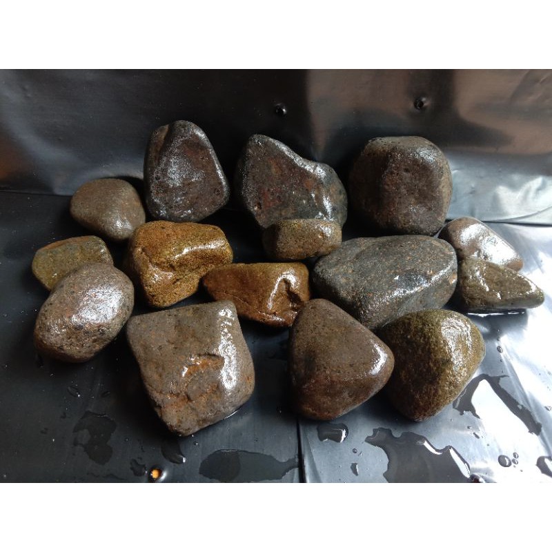 Jual terbaik batu sungai /batu ruru /perontok daki 3000 an | Shopee ...