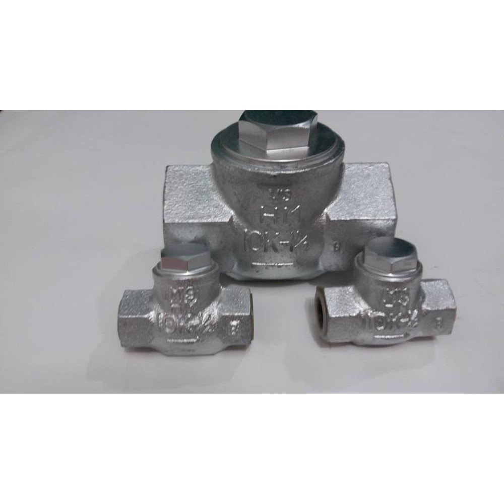Jual LIFT CHECK VALVE HITACHI MALL 3/4* DRAT | Shopee Indonesia