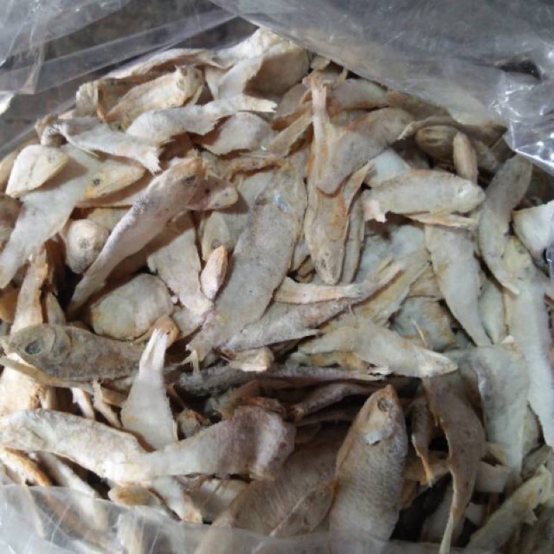 Jual IKAN ASIN / IKAN GERIH SIAP GORENG | Shopee Indonesia