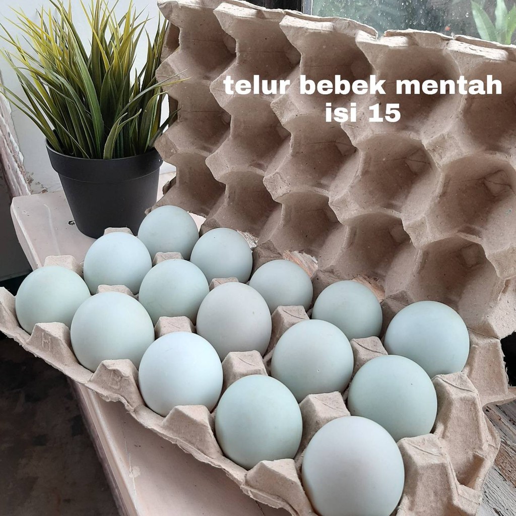 Jual Telur Bebek Mentah Isi 15 Butir | Shopee Indonesia