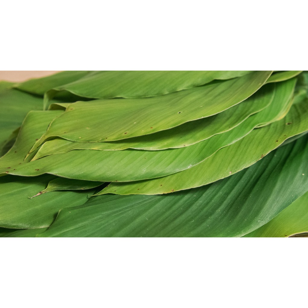 Jual Daun Kunyit Segar, Daun Kunyit Untuk Rendang, Daun Kunyit Untuk ...