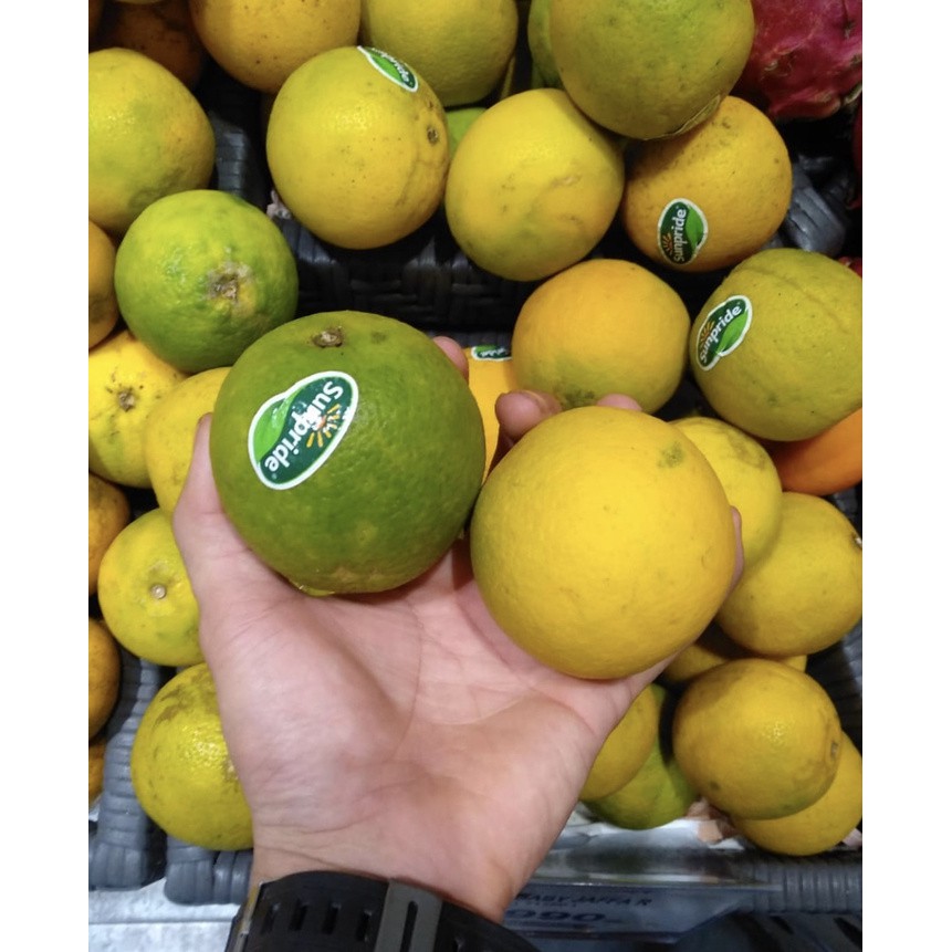 Jual JERUK BABY JAVA, / jeruk peras /jeruk untuk bayi 1 kg | Shopee ...